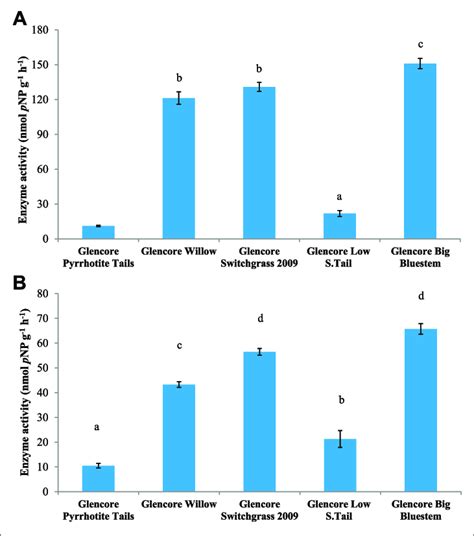 Activity Of A β Glucosidase Bg And B Cellobiohydrolase Cbh In