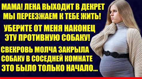 Истории из жизни Жизненные истории Интересные истории Увлекательные истории Аудиорассказ