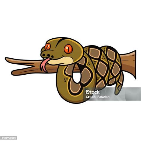 Kartun Python Reticulatus Lucu Di Cabang Pohon Ilustrasi Stok Unduh