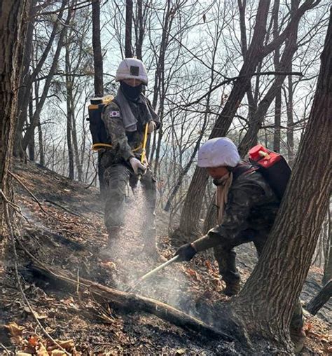 [포토뉴스]육군5군단 1기갑여단장병 ‘영북면 산불화재 진화 구슬땀 경기북도일보