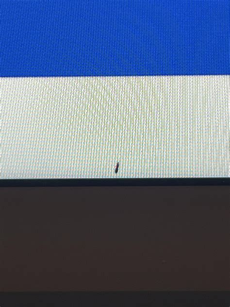 bug inside my imac r mac