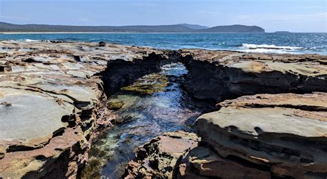 Life In Rock Pools