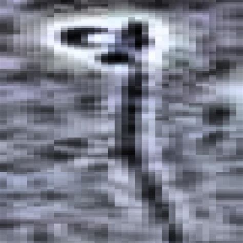 Undersampling Object Detection Dataset By Pengenalan Spermnonsperm