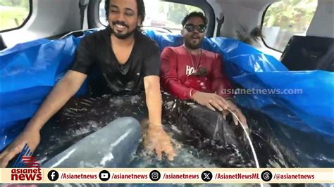 യൂട്യൂബർ സഞ്ജു ടെക്കി ആവേശം സ്വിമ്മിങ് പൂൾ ഉണ്ടാക്കിയ കാർ ഇതാ Youtube