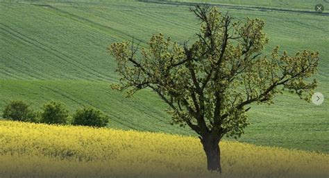 最简单的三阶魔方还原教程图解 知乎