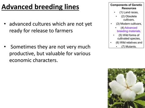 Plant Genetic Resources Their Utilization And Conservation In Crop Improvement Ppt