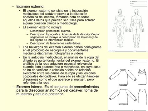 Tema 1 Necropsias Realización Del Proceso De Preparación De La Autopsia Pptx