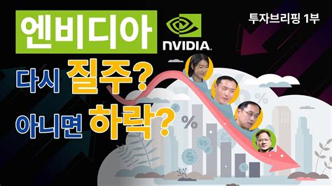 지속되는 불안한 랠리 엔비디아와 Ai 반도체 앞으로는 투자브리핑 Youtube