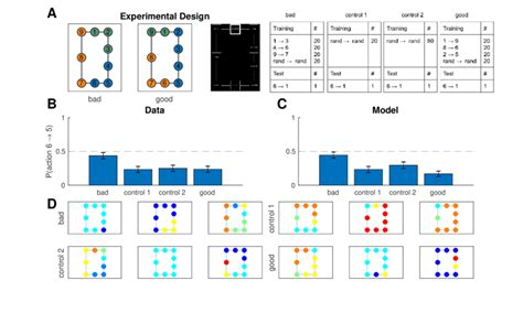 Task Distributions Can Bias Hierarchical Planning Even In Fully Visible