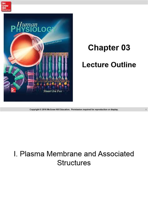 Chapter 3 Cell Pdf Rna Meiosis