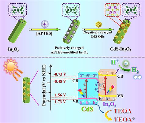 S Scheme Heterojunction Construction Enhances Photocatalytic Hydrogen
