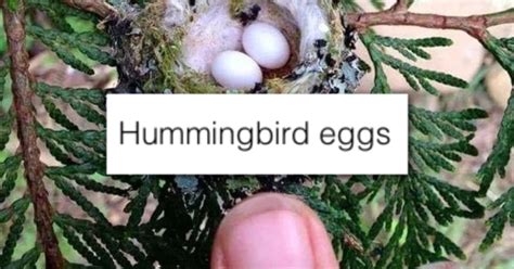 12 Pictures That Use A Human For Scale To Show Us The Size An Object Really Is