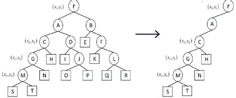 hierarchical access structure optimization download scientific diagram