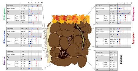 Figure 1 From Bridging Microbial Functional Traits With Localized