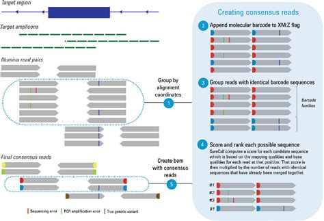 Figure 1 From What Are Potential Sources Of Errors In Ngs Semantic Scholar
