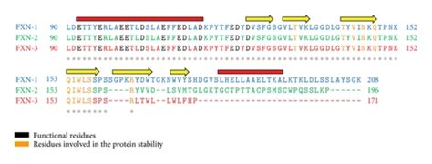 Structural Comparison Of Human Fxn 1 With Fxn 2 And Fxn 3 Sequence And Download Scientific