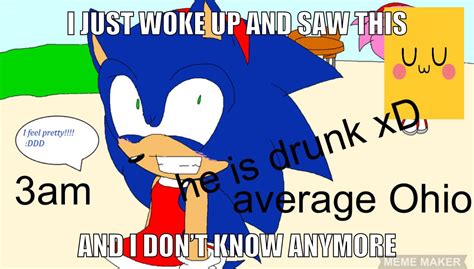 Omg Sonic Is Drunk Ahh Rbingus