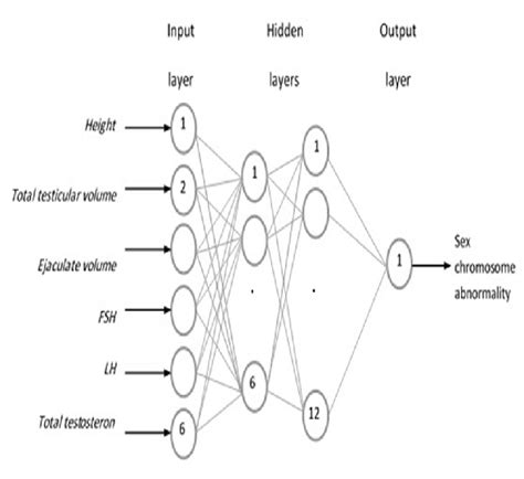 The MLP Neural Model Used To Predict Genetic Anomaly Download Scientific Diagram
