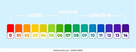 산성용액과 알칼리용액의 Ph 계량 산 베이스 밸런스 스톡 벡터로열티 프리 2268110053 Shutterstock