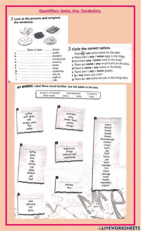 Quantifiers Free Interactive Worksheets 1035439
