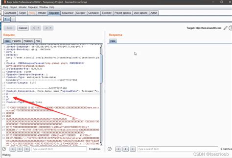 第49天 waf 绕过 漏洞利用之注入上传跨站等绕过 btwaf csdn博客