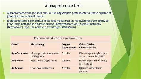 Classification Of Bacteria Microbiology Pptx