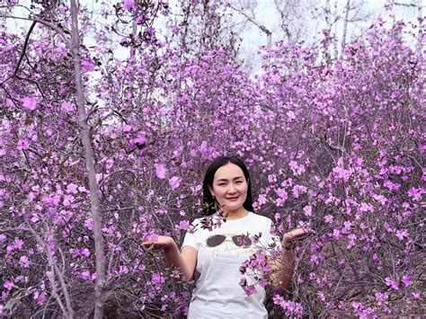 МУСТА дуучин Э Чулуунчимэг МУСТА дуучин Э Чулуунчимэг