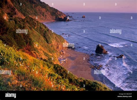 Sunset Light On Coastal Cliffs Over Beach Near Crescent City California