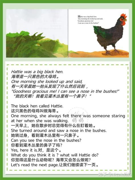 绘本精读 《hattie And The Fox》 知乎