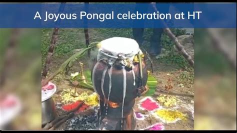 Hinduja Tech Limited On Linkedin Hinduja Tech Pongal Celebration