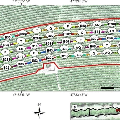 Spatial Distribution Of Nematode Populations In The Experimental Area Download Scientific