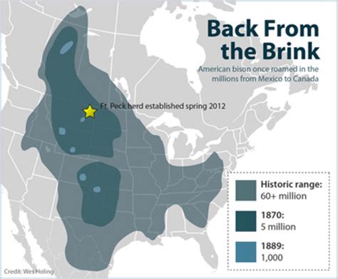 Bison Population Density And Distribution At Henry Strub Blog