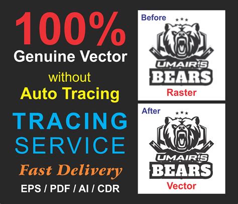 I Will Redraw Tracing Logo Redraw Raster To Vector Modify For 5 SEOClerks