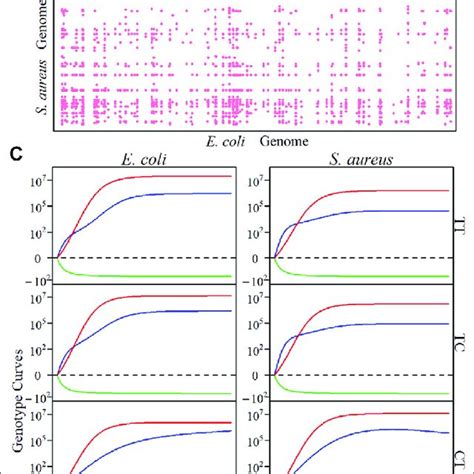 The Two Dimensional Genetic Analysis Results Of Interspecies
