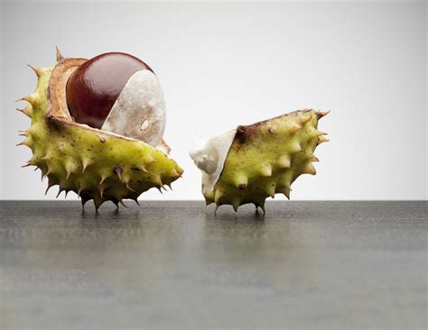 Draft Adequacy Decision Published By The European Commission