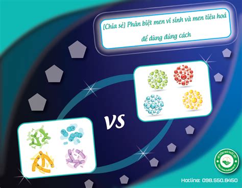Chia Sẻ Phân Biệt Men Vi Sinh Và Men Tiêu Hoá để Dùng đúng Cách
