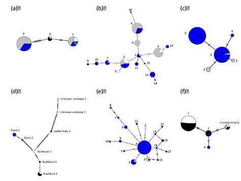 Minimum Spanning Networks Indicating Intraspecifc Diversity And