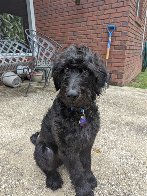 This Is Teddy Hes About To Steal Yo Girl Raww