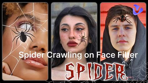 6 Ways How To Get Spider Crawling On Face Filters Free