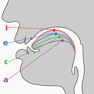 Difference Between Phonetics And Phonology