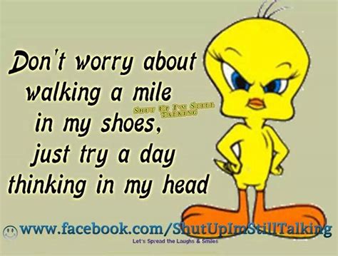 Tweety Bird And Sylvester Quotes