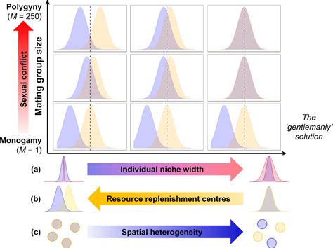 Ecological Sexual Dimorphism Is Modulated By The Spatial Scale Of