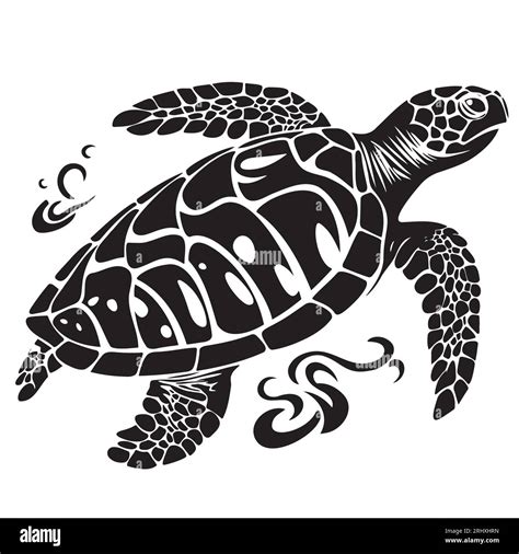 Graphic Sea Turtlevector Illustration Of Sea Turtle Stock Vector Image And Art Alamy Graphic Sea Turtlevector Illustration Of Sea Turtle Stock Vector Image And Art Alamy