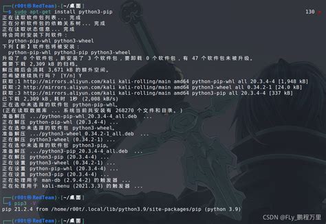 Kali Linux安装pip2与pip3kali安装pip3 Csdn博客
