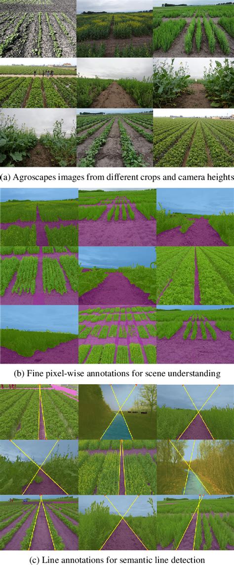 agronav autonomous navigation framework for agricultural robots and vehicles using semantic