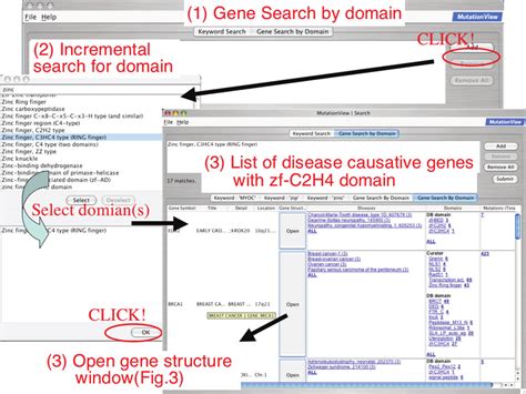 Domain Search Function Download Scientific Diagram