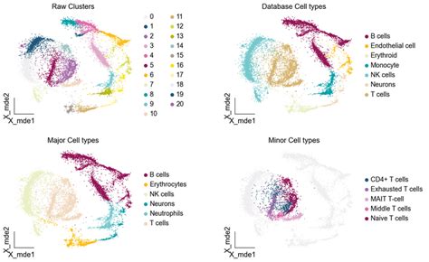 单细胞测序最好的教程：（六）细胞类型注释｜或许是全网最详细的注释教程 知乎