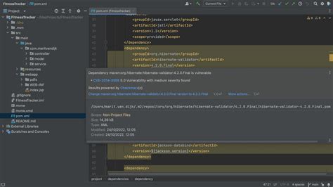 Package Checker Find And Fix Vulnerabilities Inside Intellij Idea Ultimate Marit Van Dijk