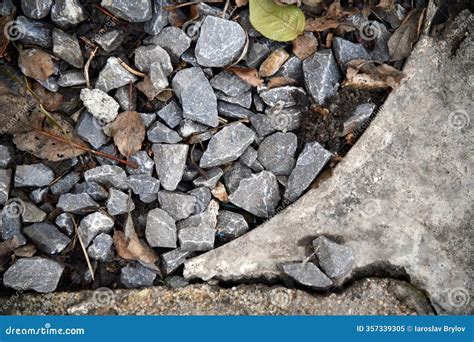 Statuario Marble Texture For Interior Exterior Carrara Marble Used