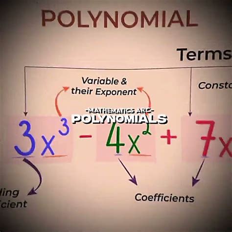 Polynomials Vs Trigonometry Youtube